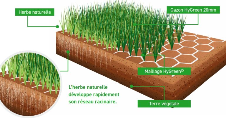 Gazon Hybride Nouvelle Génération : Hy’Green®