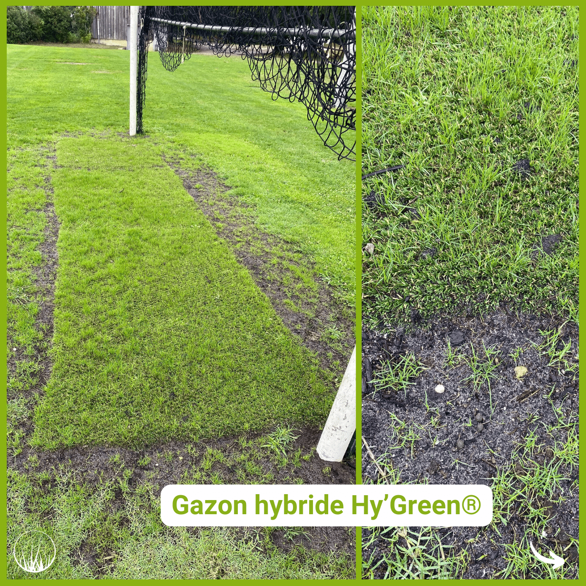 Stade de foot en gazon hybride : protéger le gazon naturel avec une ...